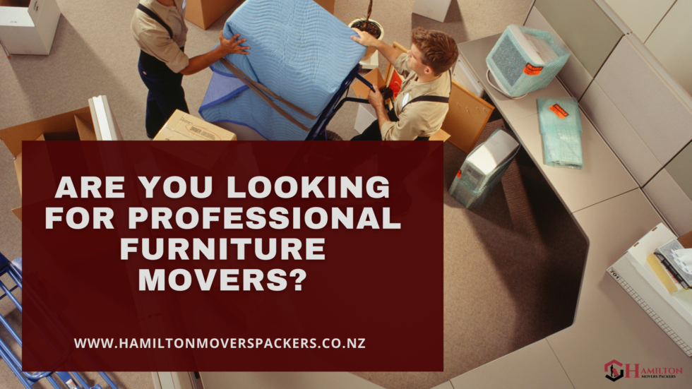Best Furniture Movers Hamilton Team In Team For Secure Movement